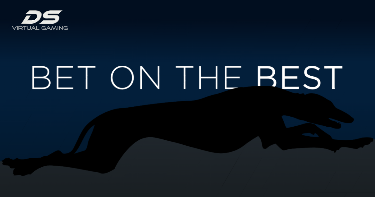 Home [www.virtualgaming.com]